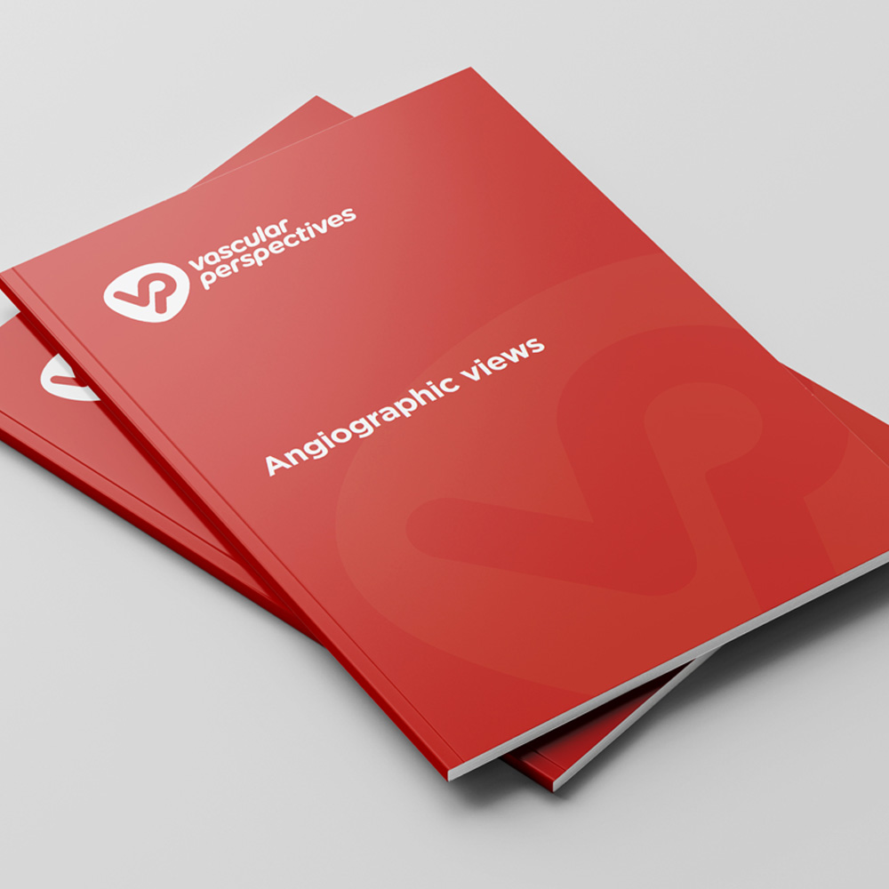 Vascular Perspectives | Branding / Identity / Marketing | Redbak