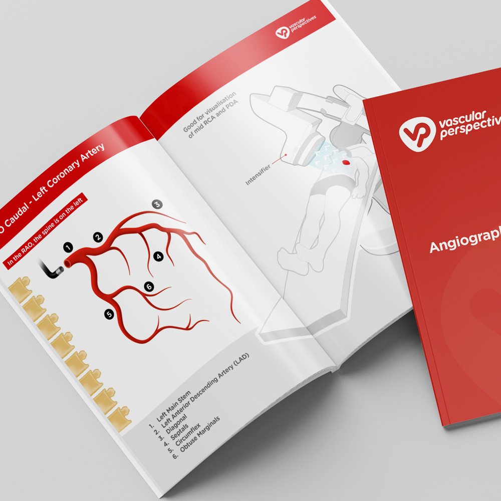 Vascular Perspectives | Branding / Identity / Marketing | Redbak